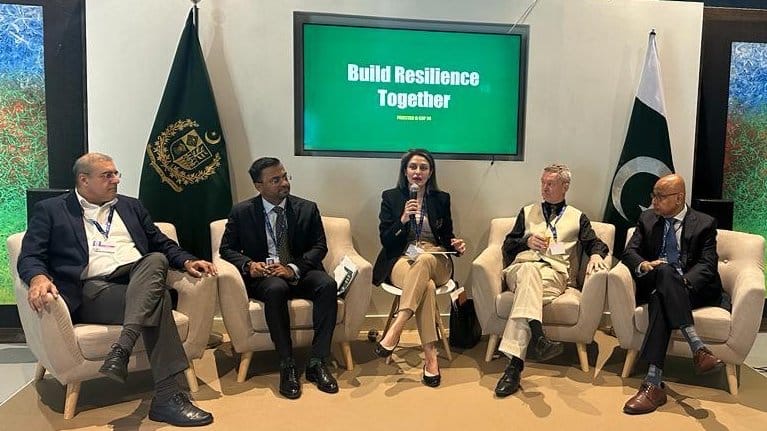 COP28: Panelists focus on solutions to Pakistan’s environmental ...
