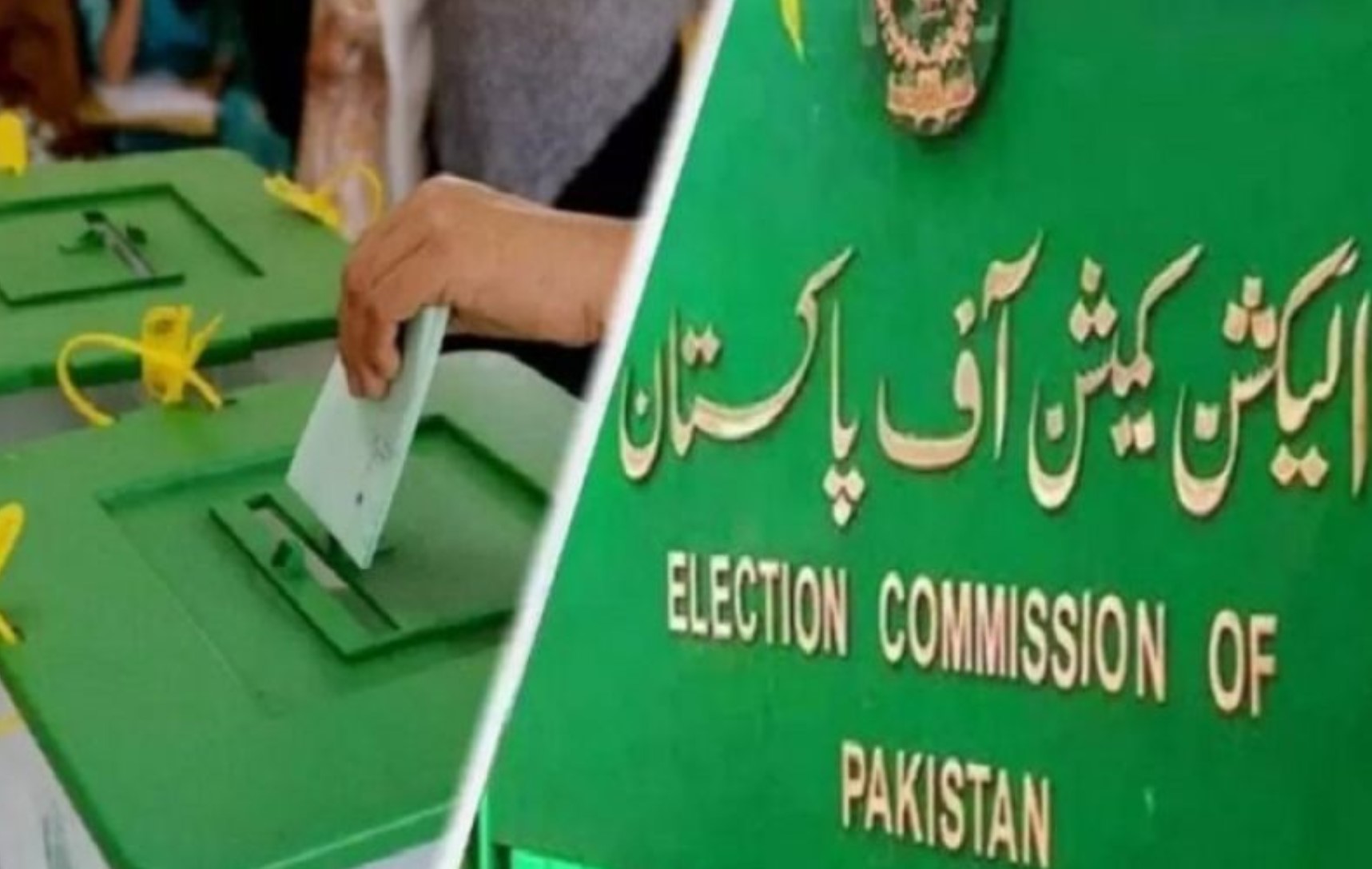 Here’s how to see Pakistan election results 2024 online - The Pakistan ...